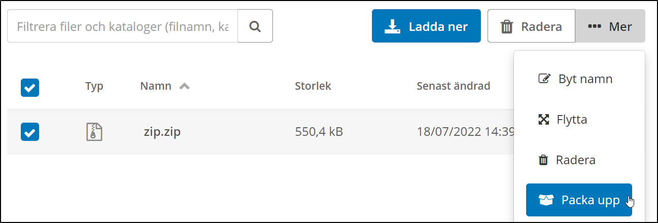 Hur kan jag hantera mitt webbutrymme? | STRATO