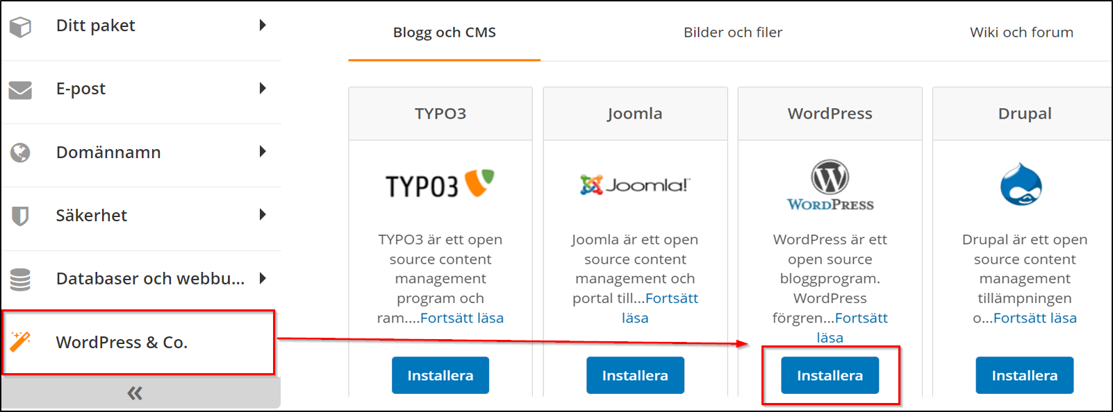 Vad är WordPress och hur kan jag installera det? | STRATO